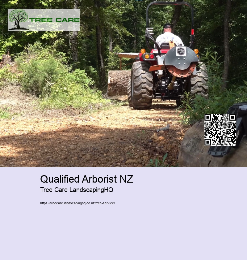 Qualified Arborist NZ
